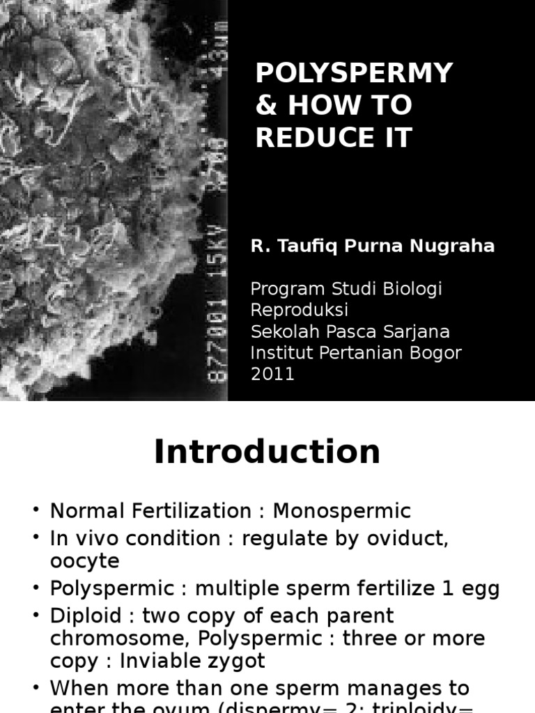 Polyspermy and How To Reduce It | PDF | In Vitro Fertilisation ...