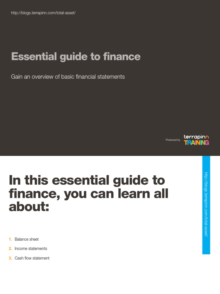 Essential Guide To Finance | PDF | Equity (Finance) | Balance Sheet