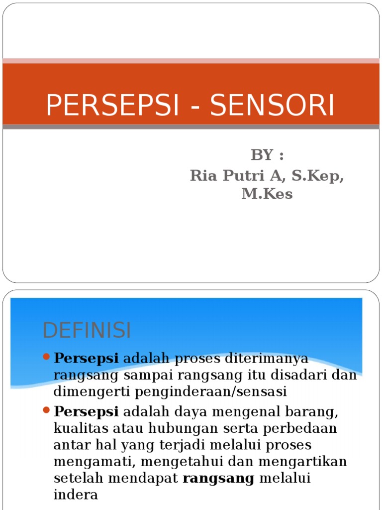 Persepsi Sensori | PDF