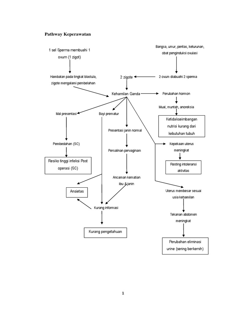 Pathway Kehamilan Kembar | PDF