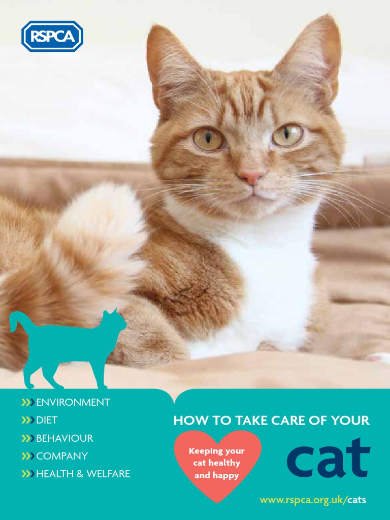 888/620/cat How+to+take+care+of+your+cat+booklet Secure PDF | PDF ...