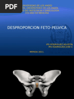 Artículo Original - Eficacia Maniobra Ritgen | PDF | Salud maternal | Parto