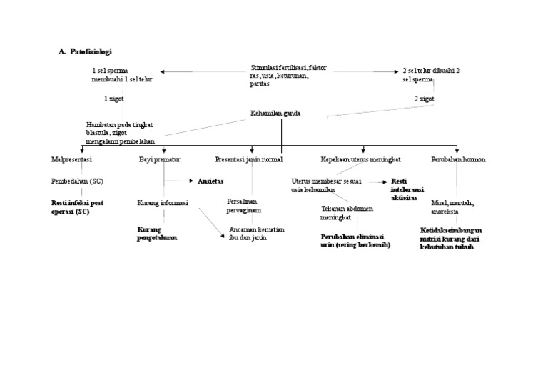 Pathway Gemeli | PDF | Pengembangan Diri | Kesehatan Holistik