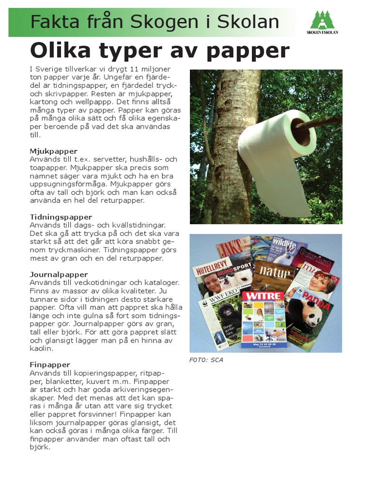 Olika Typer Av Papper | PDF
