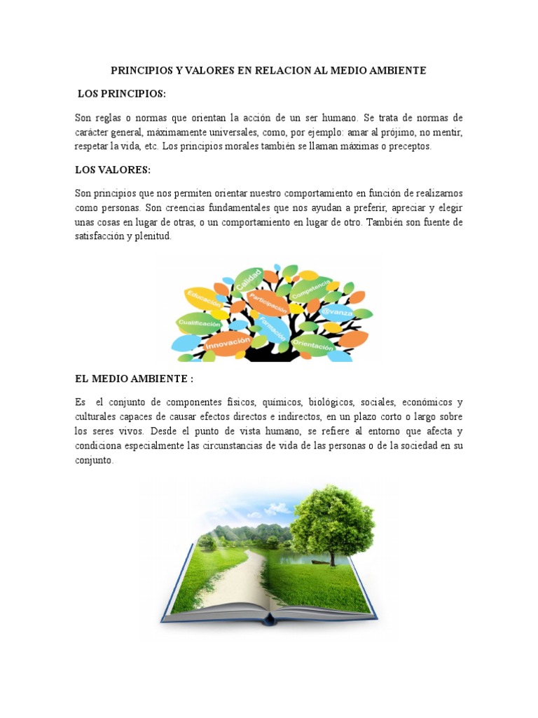 Principios y Valores en Relacion Al Medio Ambiente Final | PDF ...