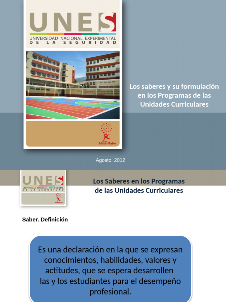 Saberes en Programas Curriculares | PDF | Conocimiento | Teoría