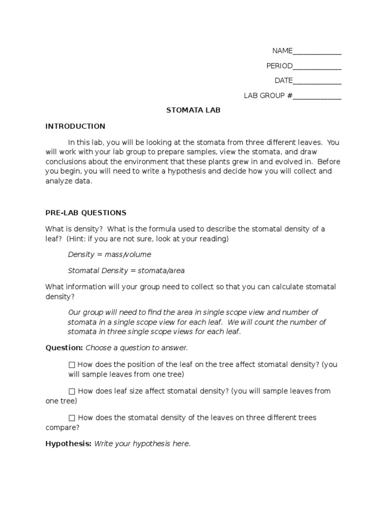 Stomata Lab Key1 | PDF | Stoma | Plants