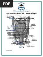 Istmo de Las Fauces | PDF | Boca | Anatomía humana