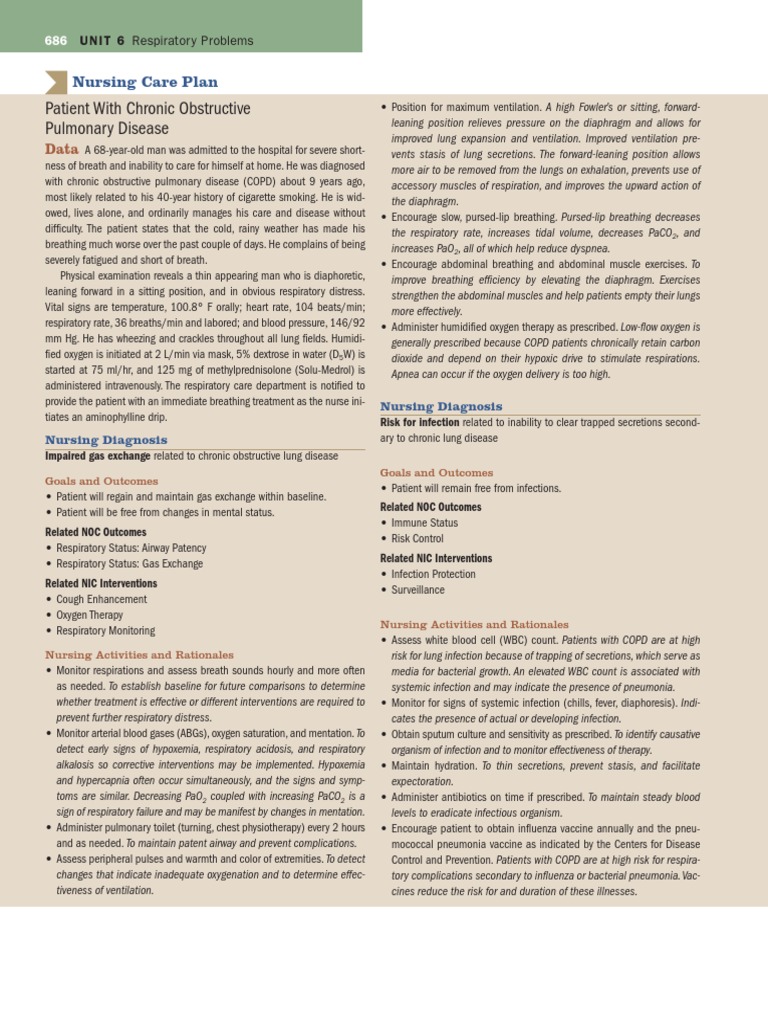 Nursing Care Plan | PDF | Respiratory System | Chronic Obstructive ...