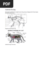 Anatomi Reproduksi Anjing Dan Kucing Jantan | PDF