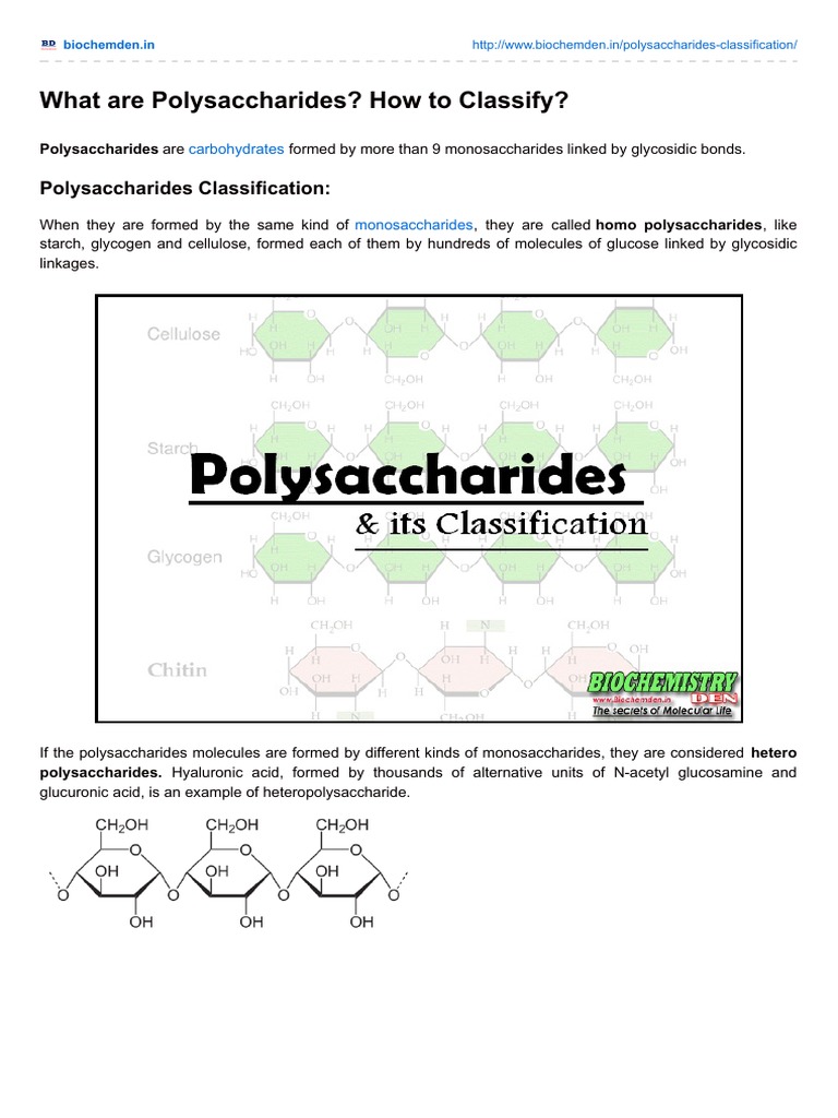 What Are Polysaccharides How to Classify | Polysaccharide | Carbohydrates