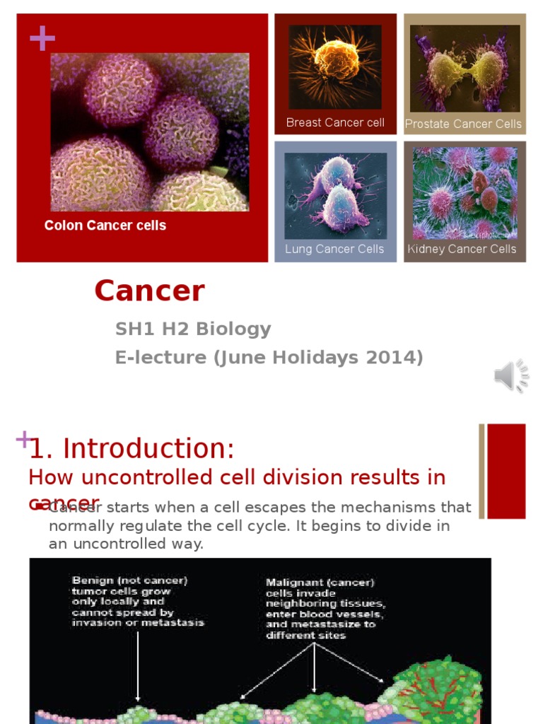 Cancer E-Lecture 2014 Part 1 | PDF | Cell Cycle | Cell Growth