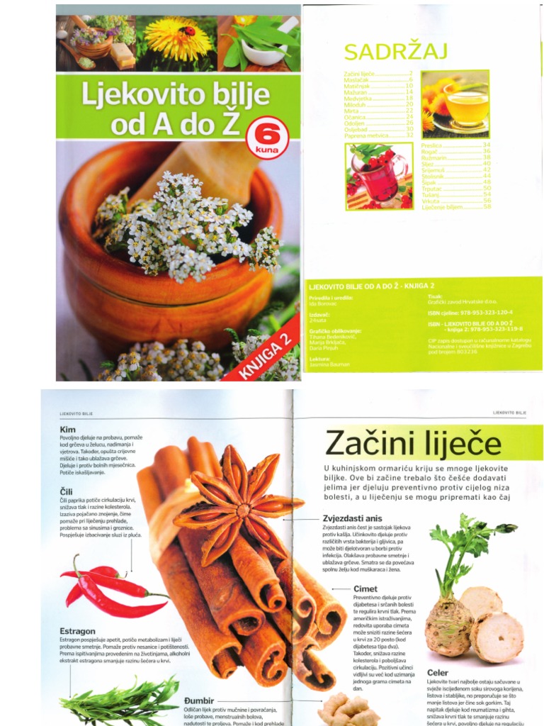 Ljekovito Bilje Od A Do Z | PDF