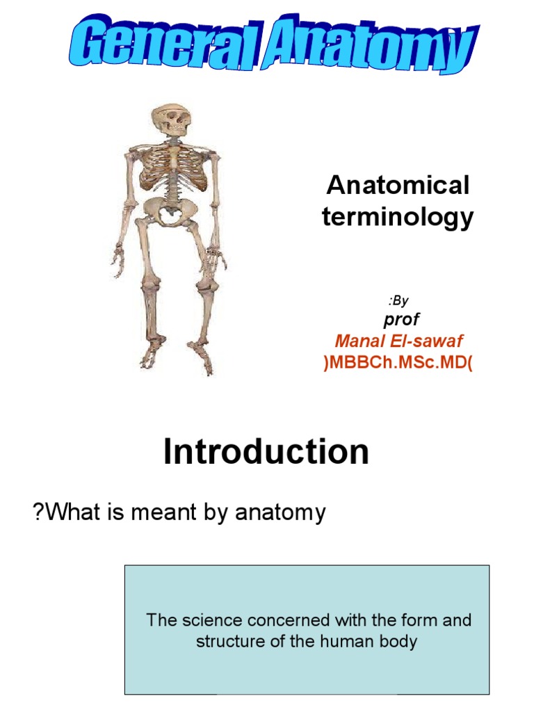 General Anatomy | Download Free PDF | Anatomical Terms Of Motion ...