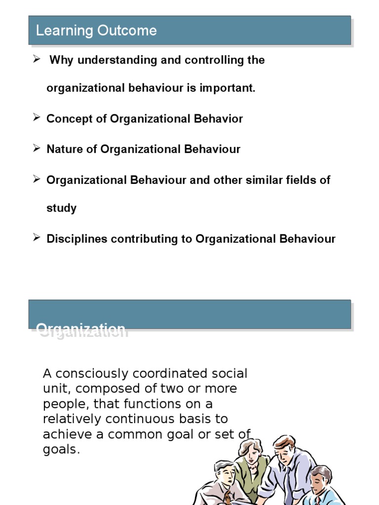 OB Rudani New | PDF | Organizational Behavior | Discipline (Academia)