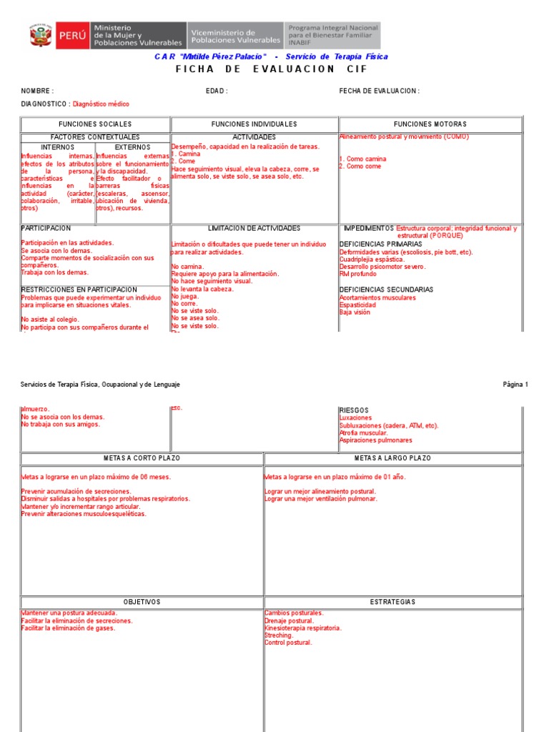 Ficha CIF - Modelo | Invalidez | Medicina