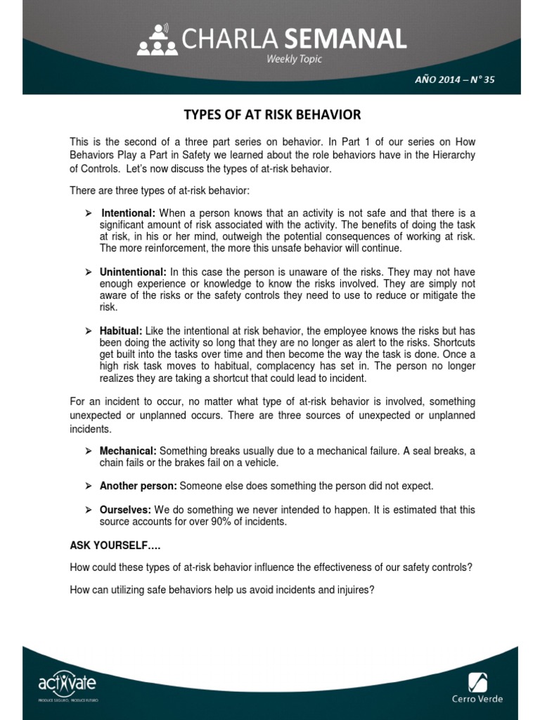 35 - Types of at Risk Behavior | PDF | Career & Growth