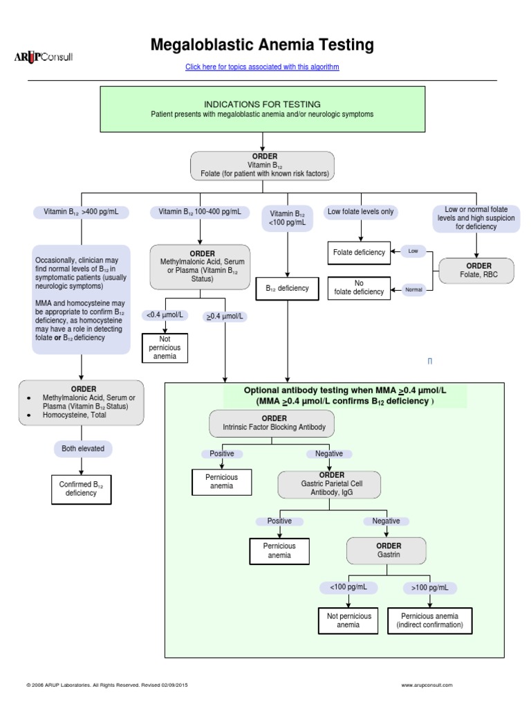Pernicious Anemia Pathophysiology