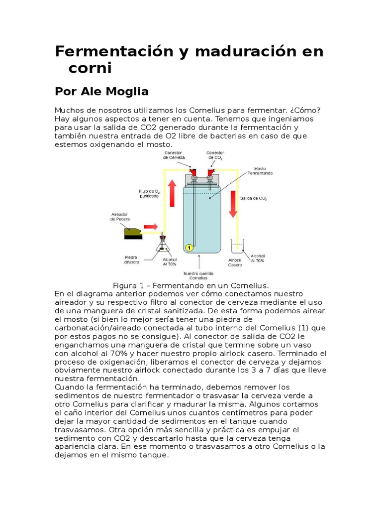 Fermentación y Maduración en Corni | PDF | Cerveza | Fermentación