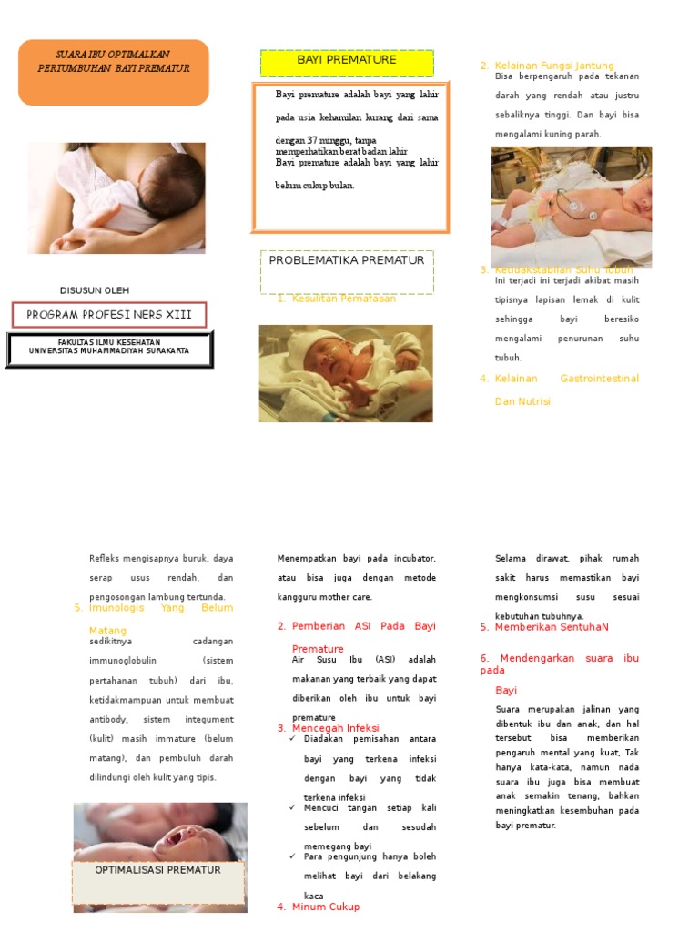 Leaflet Penkes BBLR by Ewa | PDF | Kesehatan Holistik