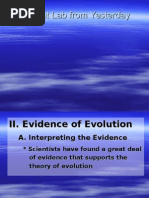 Evidence For Evolution Guided Inquiry Worksheet | PDF | Biology ...