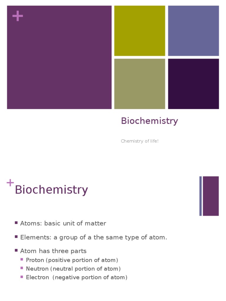 Biochemistry: Chemistry of Life! | PDF | Nucleic Acids | Carbohydrates
