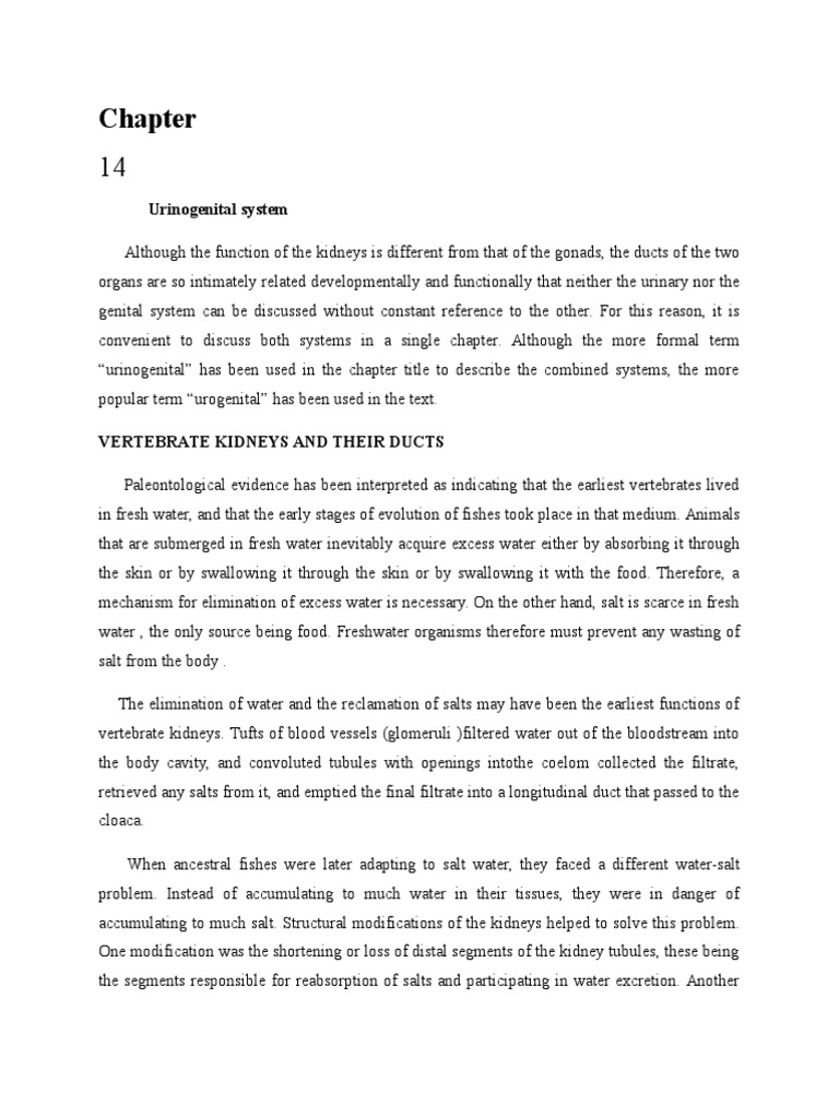Urinogenital System in Englis | PDF | Kidney | Uterus