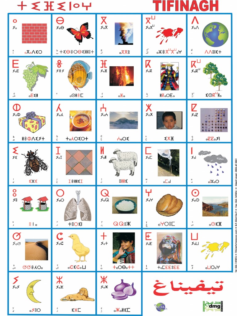 Poster Educatif Amazigh - Alphabet Tifinagh | PDF