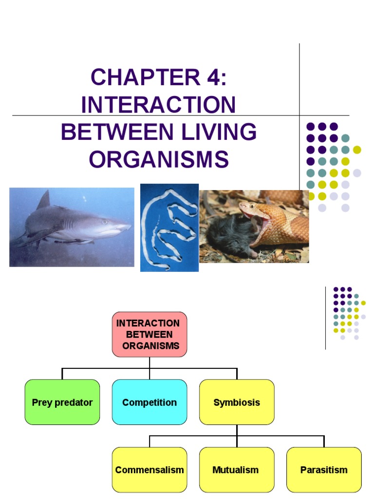 Organism Interactions: Predation, Competition, Symbiosis | PDF ...