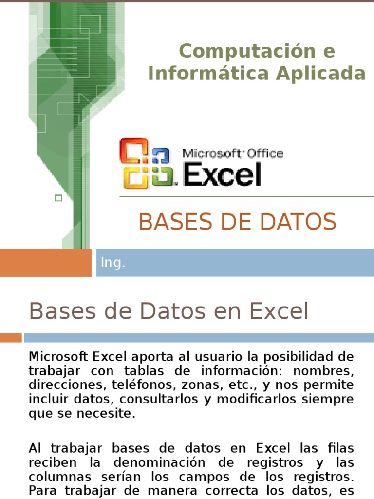 Bases de Datos en Excel | PDF | Microsoft Excel | Tabla (base de datos)