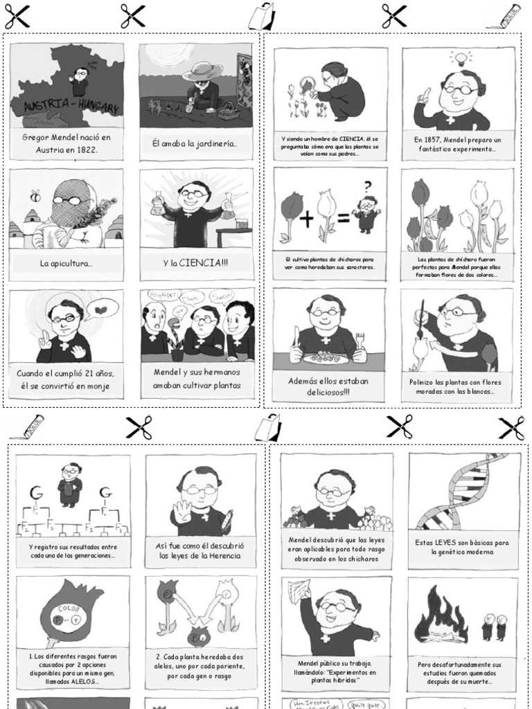 Comic Mendel Biologia II | PDF