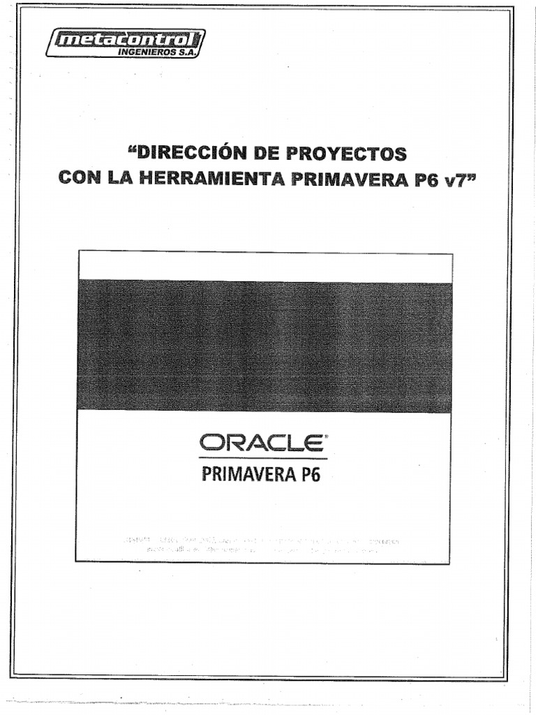 Manual Primavera P6 | PDF