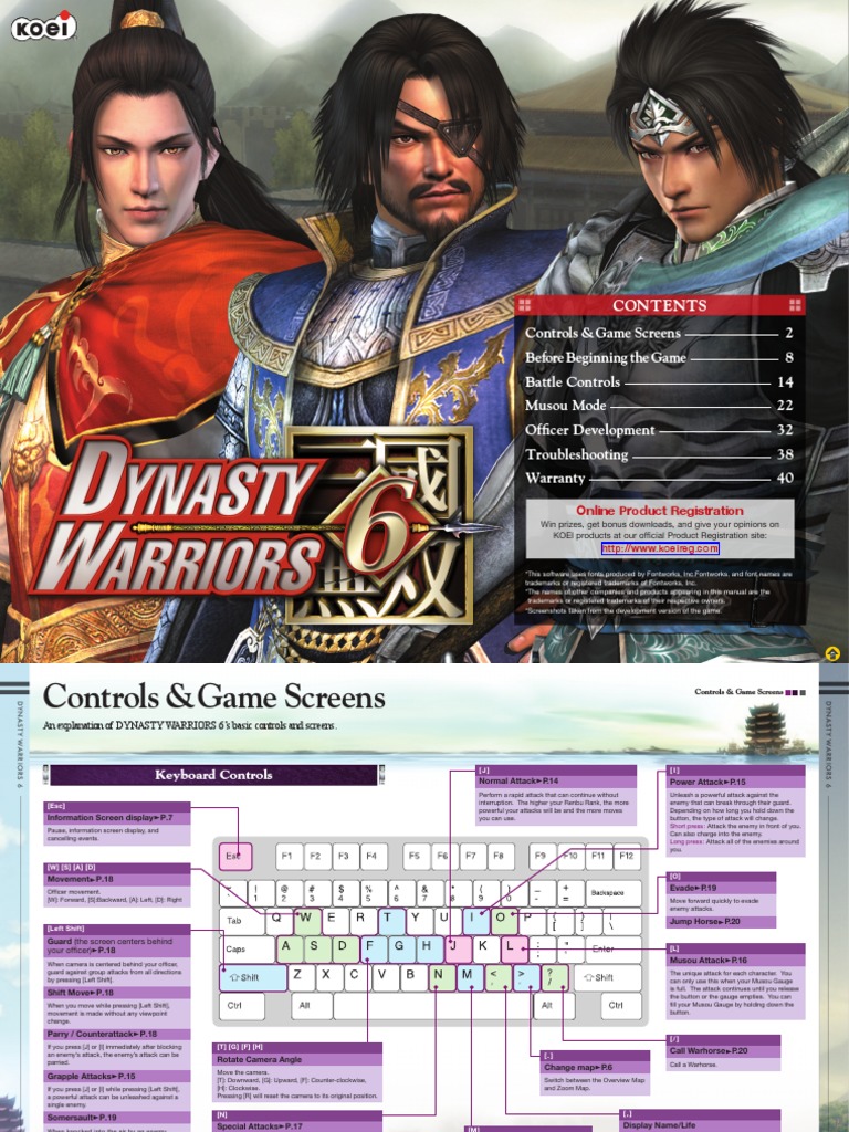 DW6 Manual | PDF | Installation (Computer Programs) | Display Resolution