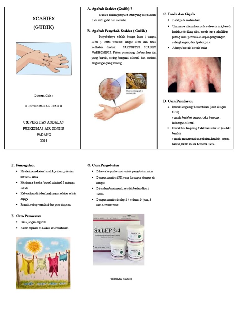 Leaflet Skabies 3 | PDF