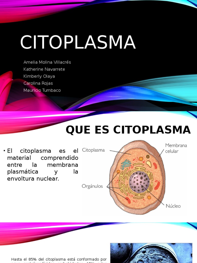 Cito Plasma - Biologia | PDF | Citoplasma | Retículo endoplásmico