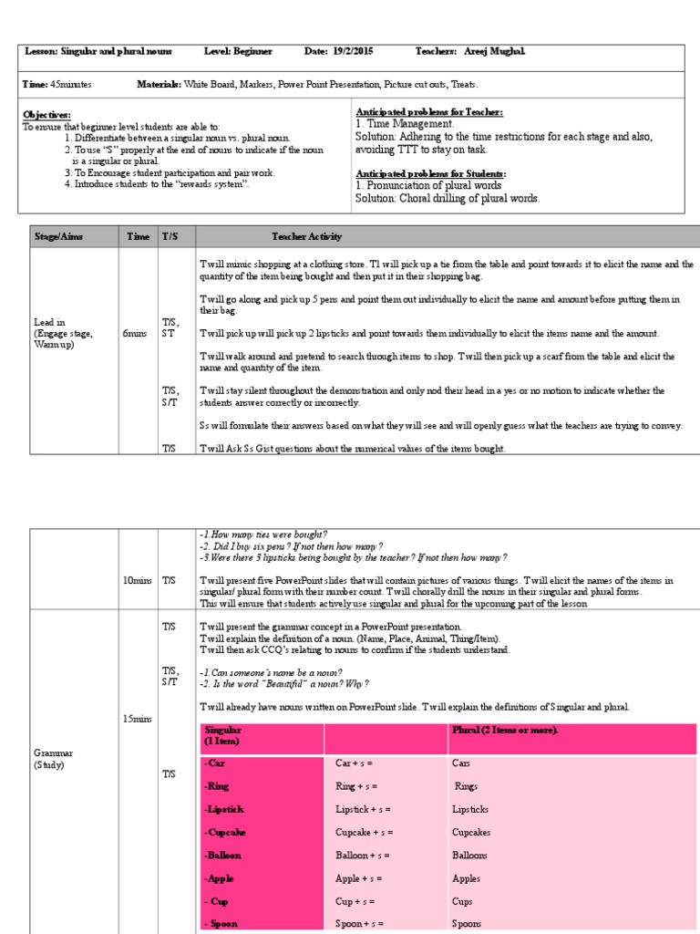 Lesson Plan: Singular and Plural Nouns | PDF | Grammatical Number | Plural