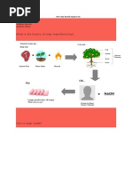 Sulfite Allergy: What You Need To Know | PDF | Allergy | Pickling