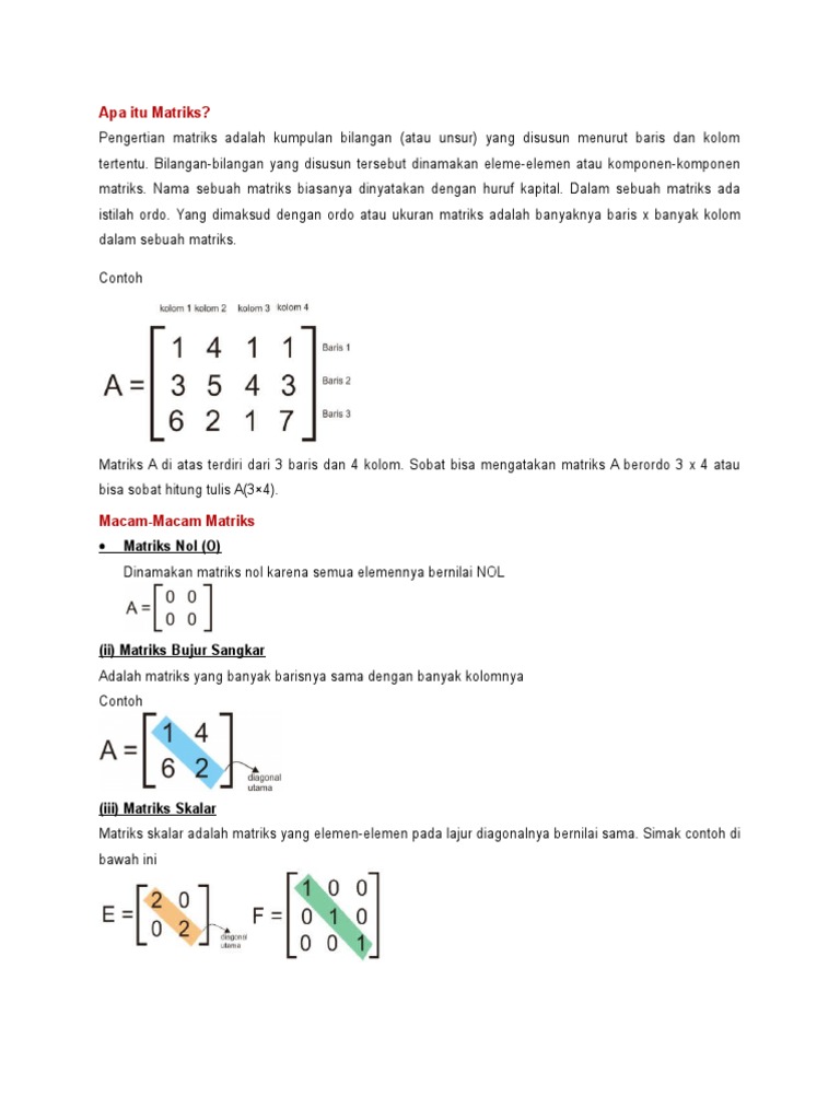 Apa Itu Matriks | PDF