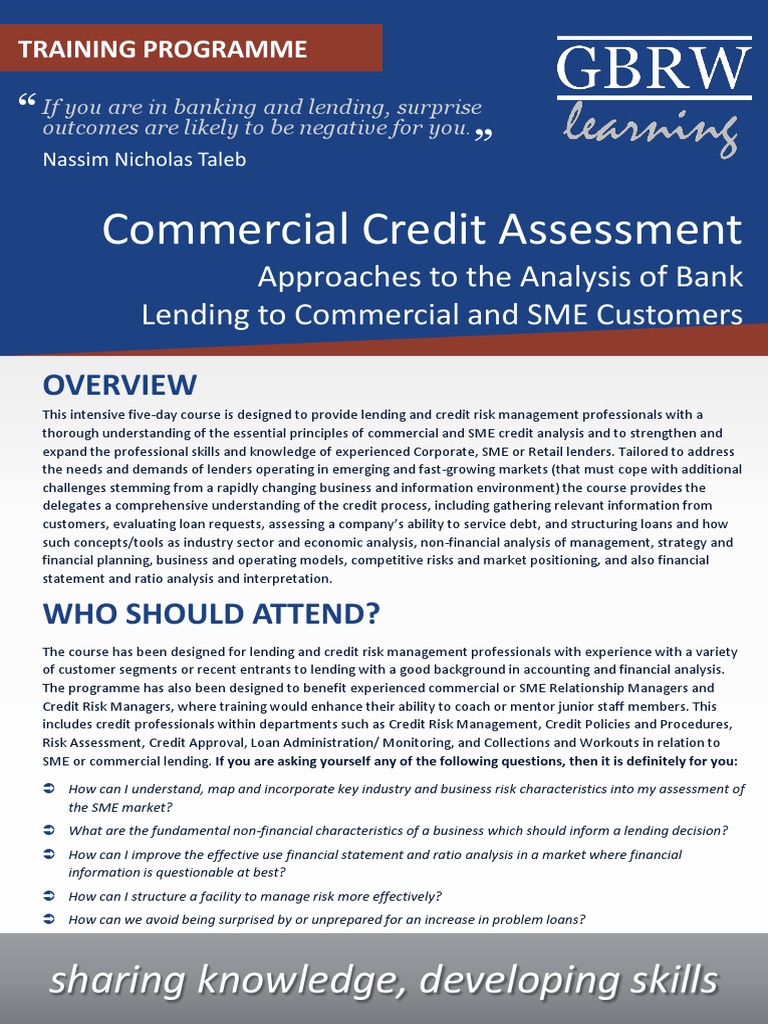 Commercial Credit Assessment | PDF | Loans | Leverage (Finance)