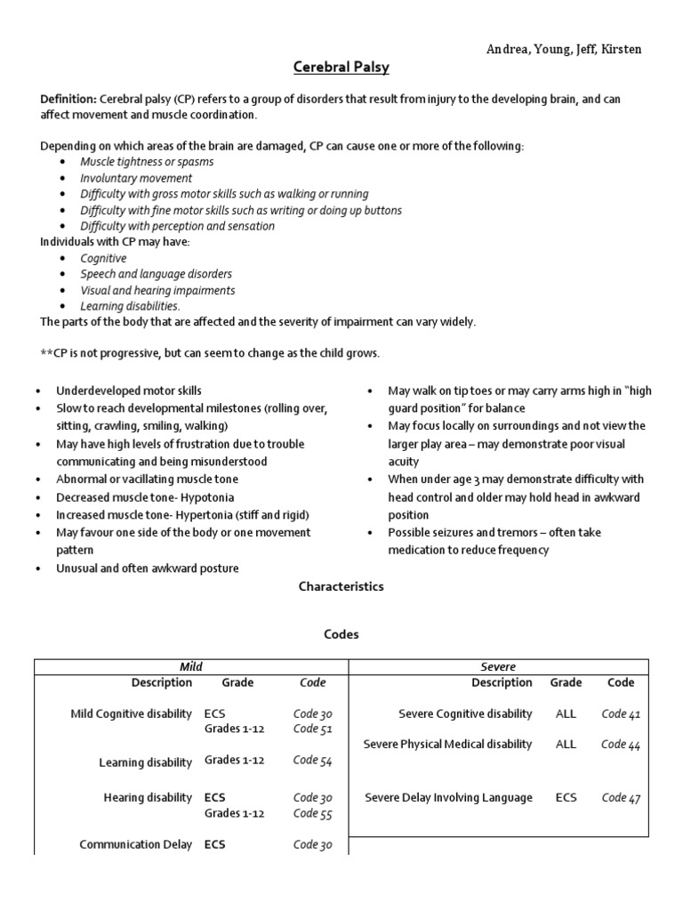 Cerebral Palsy Info Sheet | PDF | Cerebral Palsy | Nervous System