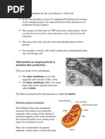Mitochondria and Chloroplast | PDF | Chloroplast | Mitochondrion