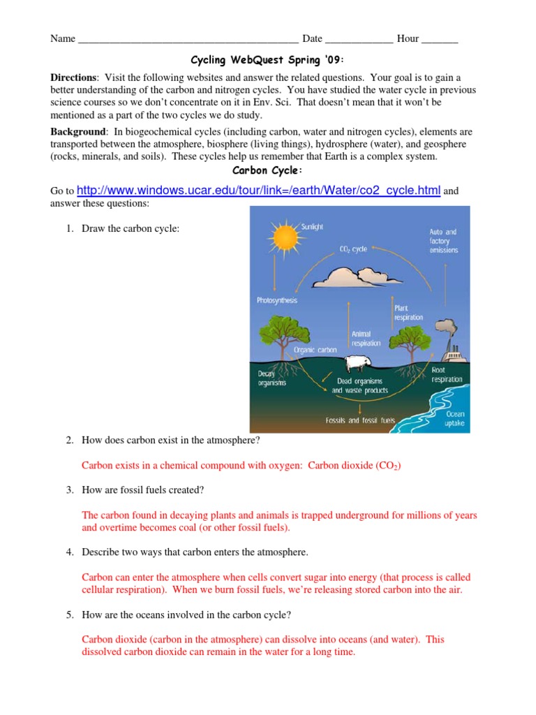 Cycling WebQuest Spring 2009 ANSWERS - 2 | PDF | Carbon Cycle | Nitrogen