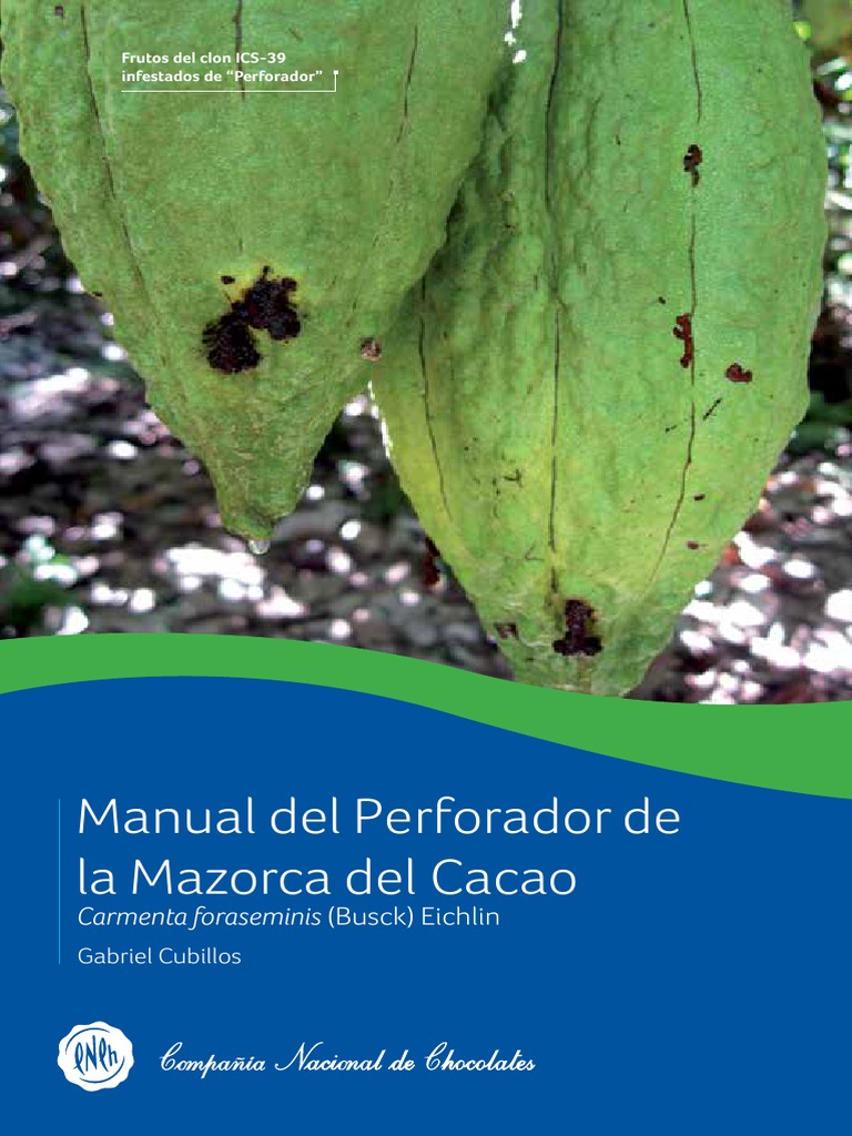 Guía sobre Carmenta foraseminis en cacao | PDF | Insectos | Huevo