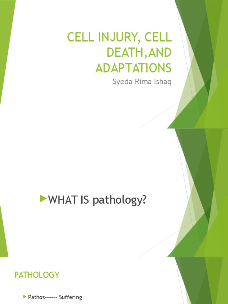 Cell Injury, Cell Death, and Adaptations | PDF | Apoptosis | Necrosis