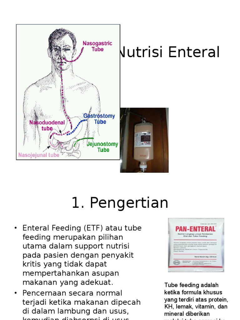 Nutrisi Enteral: Panduan dan Manfaat | PDF