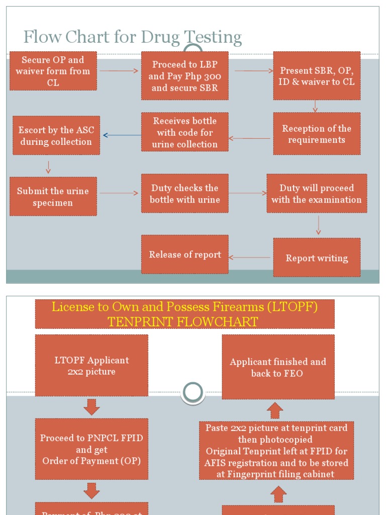 Process Flowchart in Firearms License Application | PDF | Identity ...