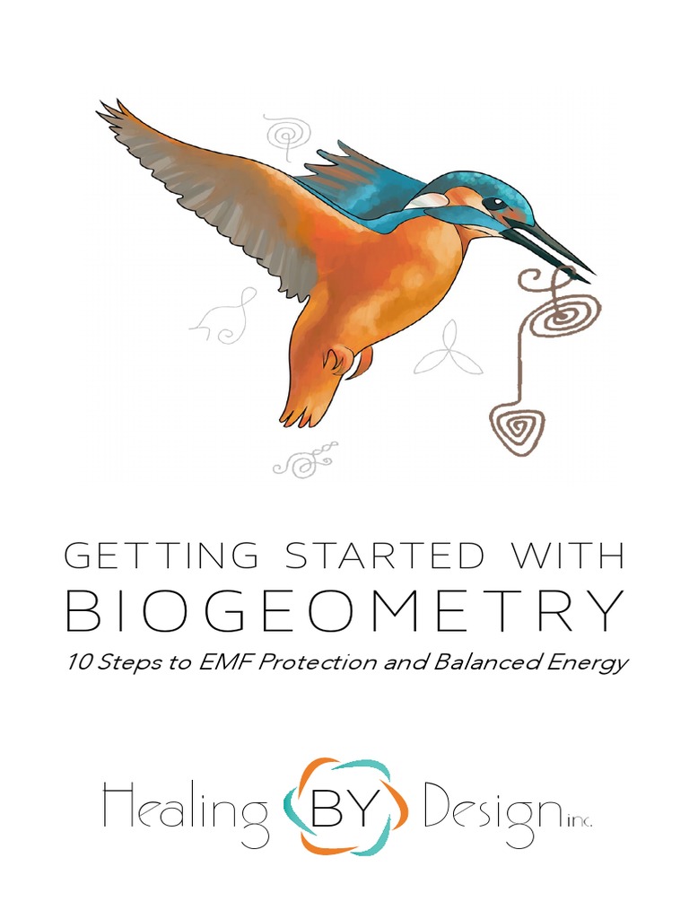 Healing Design: Biogeometry | PDF