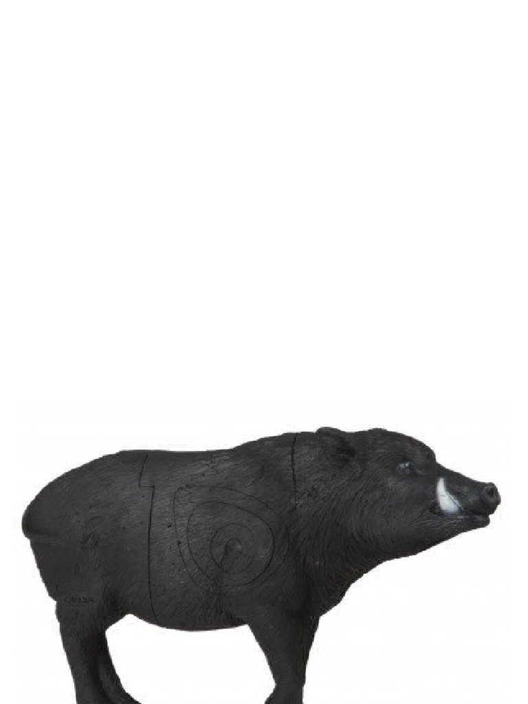 Target 16 - Wild Boar Paper Target (A3) | PDF