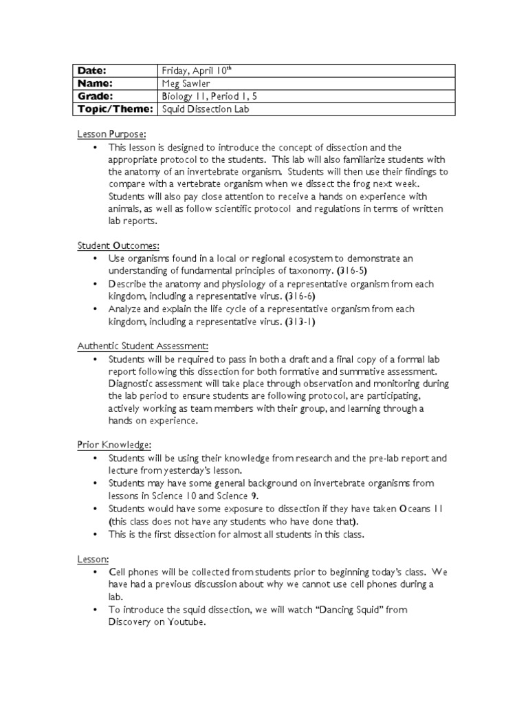 Squid Lab | PDF | Educational Assessment | Anatomy