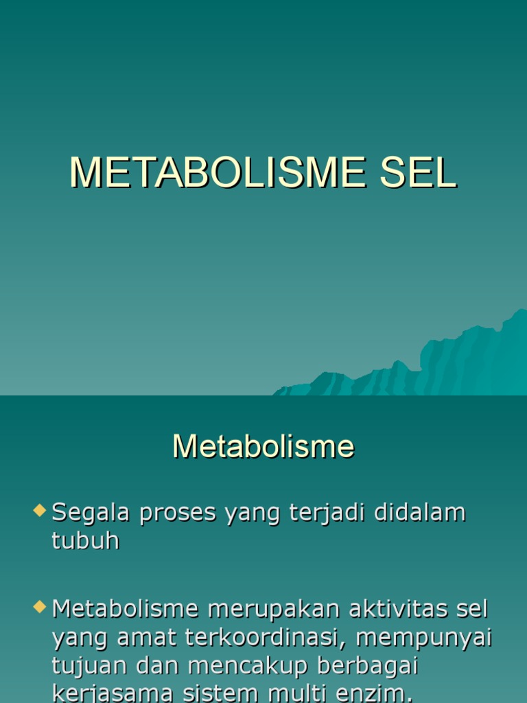 Metabolisme Sel | PDF